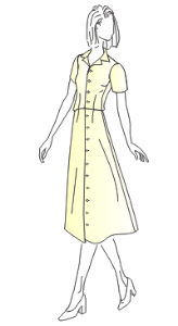 Wild Ginger Software, Inc.. Shirtwaist Dress